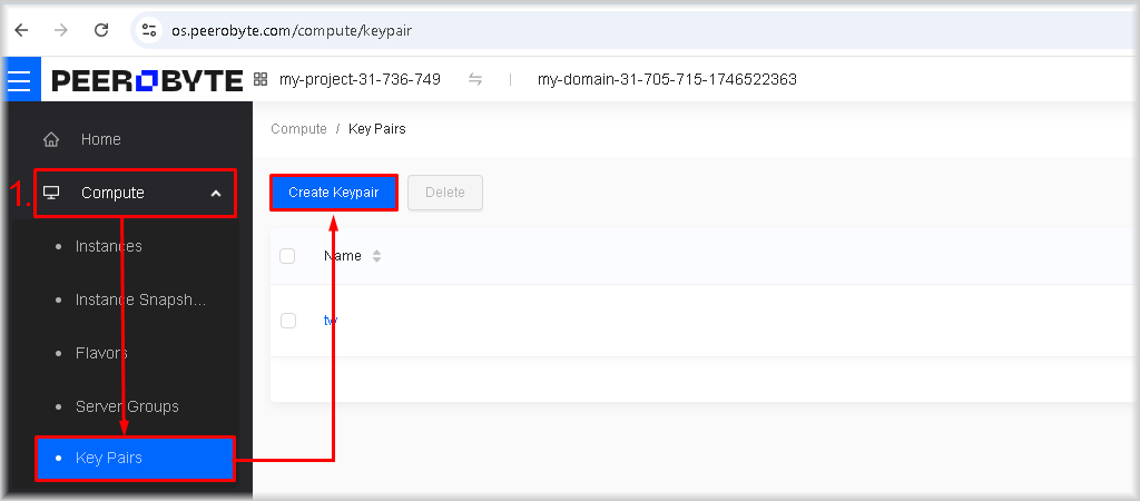 Quick Start in Cloud Infrastructure ️
